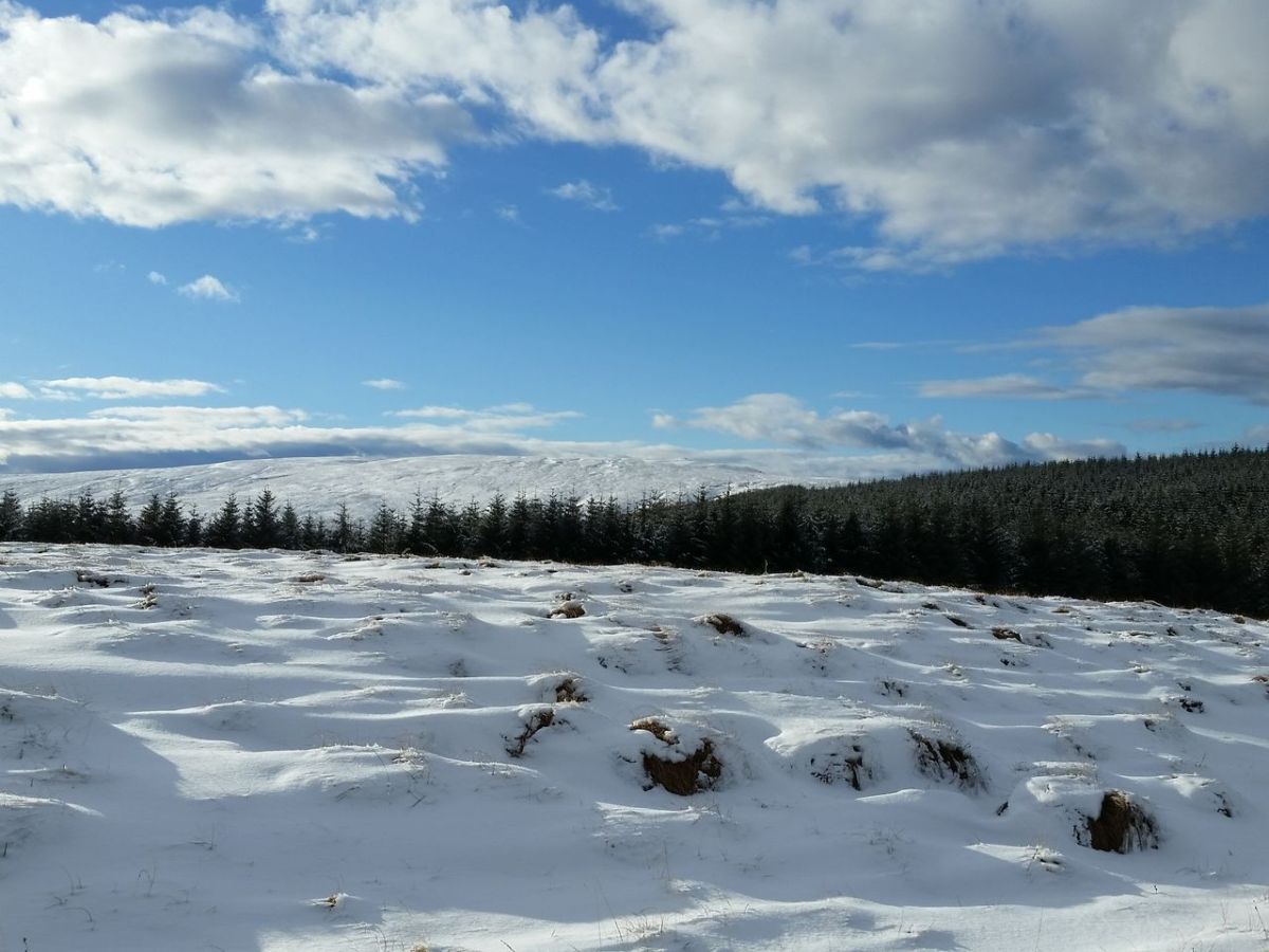 The Cheviots in winter – a walk in the snow | MART IN THE HILLS