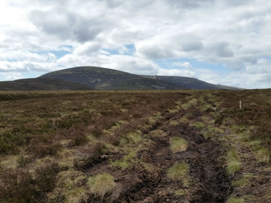 Probably the best route up the Cheviot from Langleeford – via Lambden ...